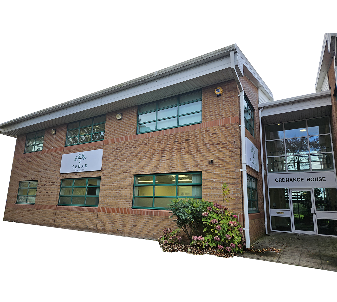 About Us | Cedar Health & Wellbeing